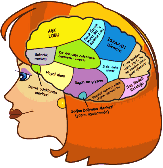 Ne Olacak Bu Ergenlerin Hali? | BSH Kurumsal Blog